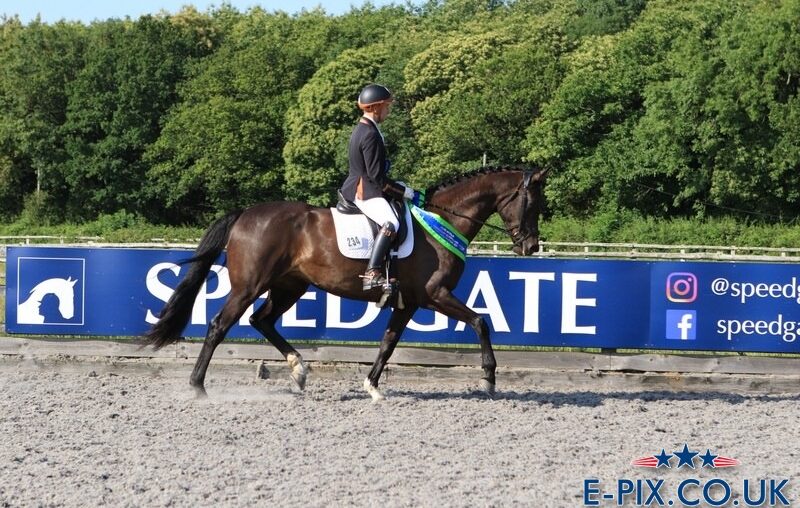 Dressage At Speedgate - Speedgate Blog