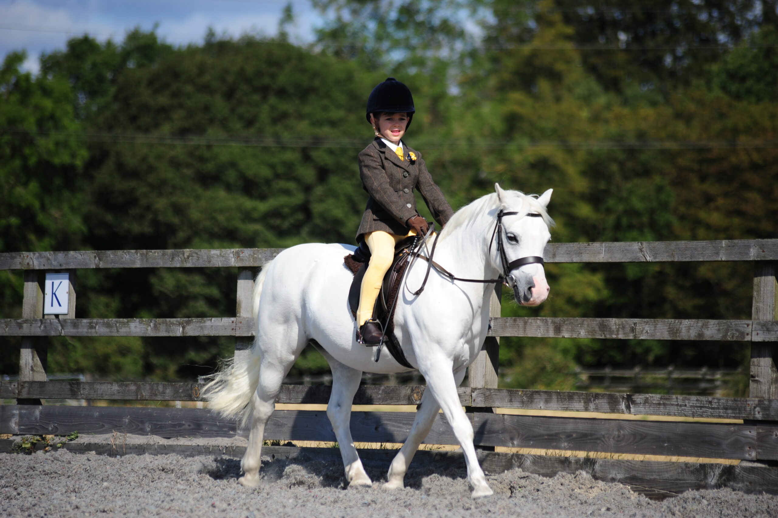 Speedgate’s End of Season Showing Results - Speedgate Blog