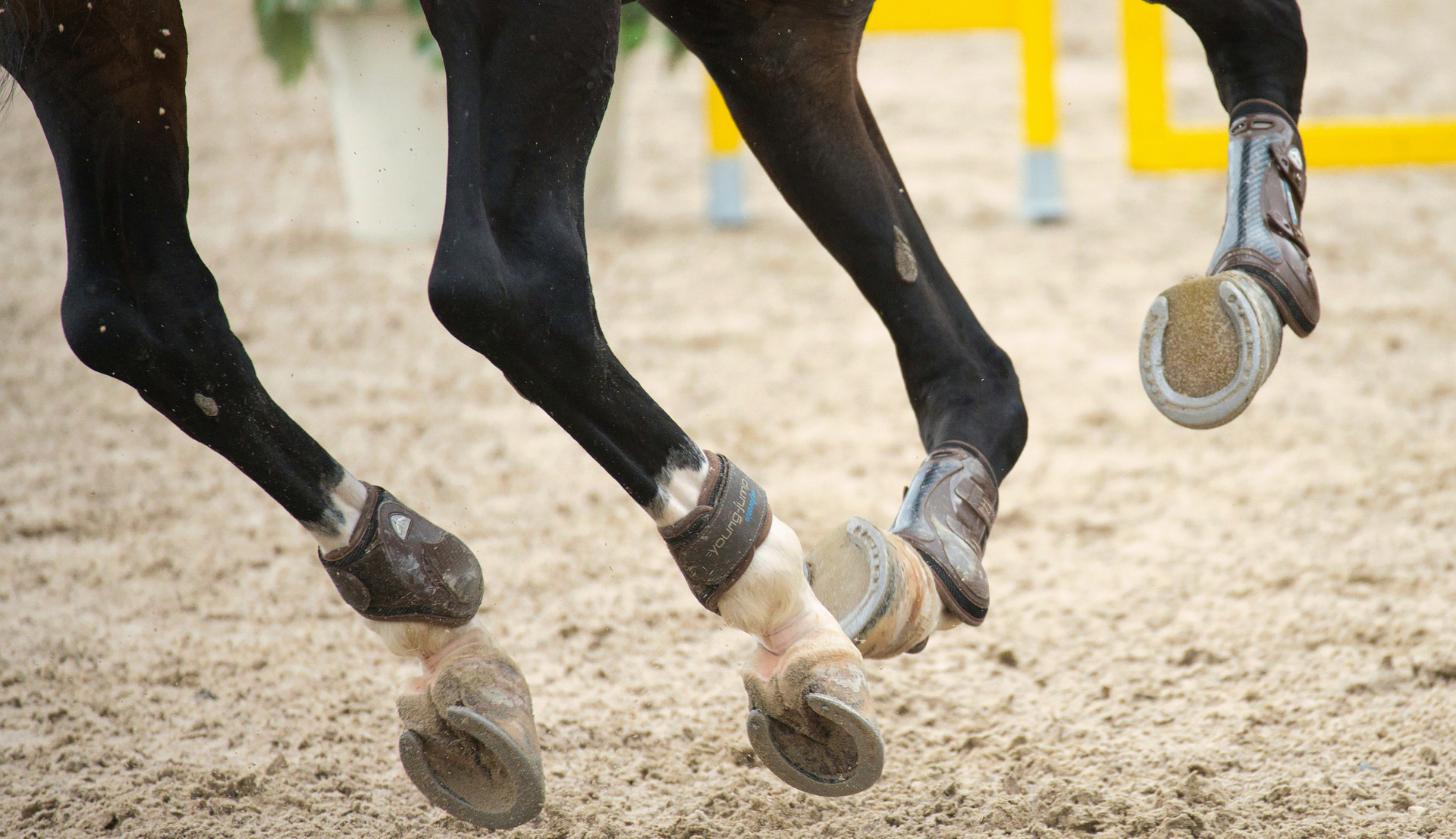 Building Hooves to Last - Speedgate Blog