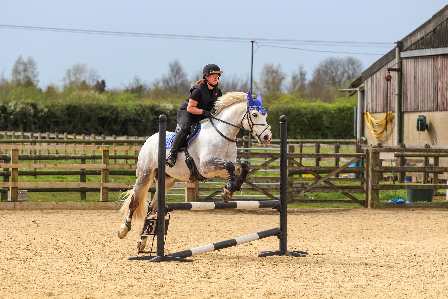 Speedgate’s Unaffiliated Show Jumping - Speedgate Blog
