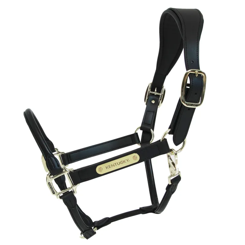 Kentucky Anatomic Leather Head Collar Black