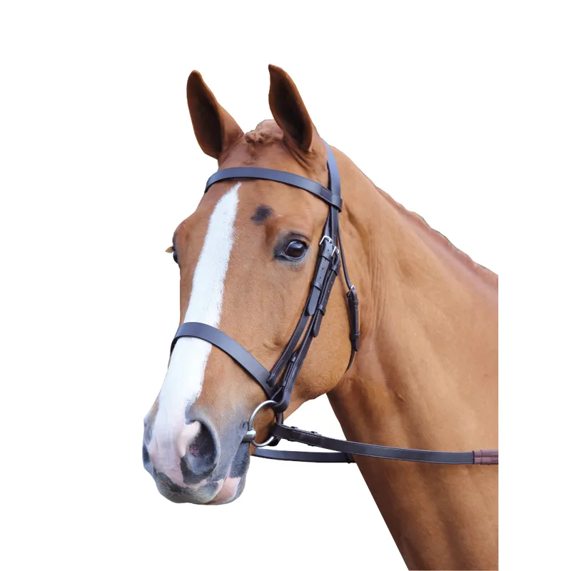 Shires Aviemore Plain Bridle Havana