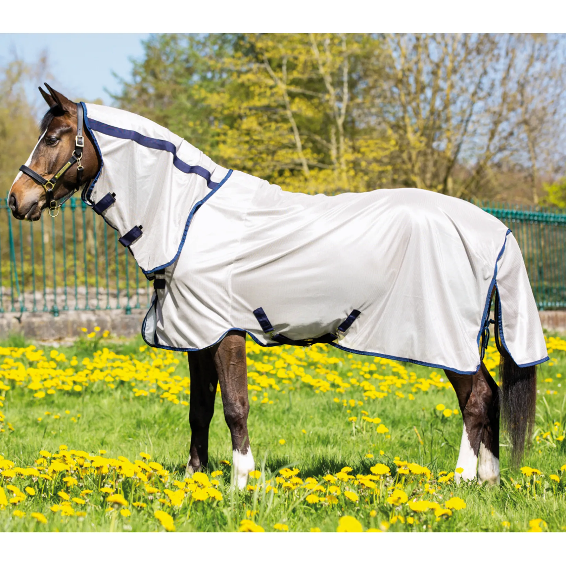 Horseware Amigo Mio Pony Fly Rug Bronze/Navy