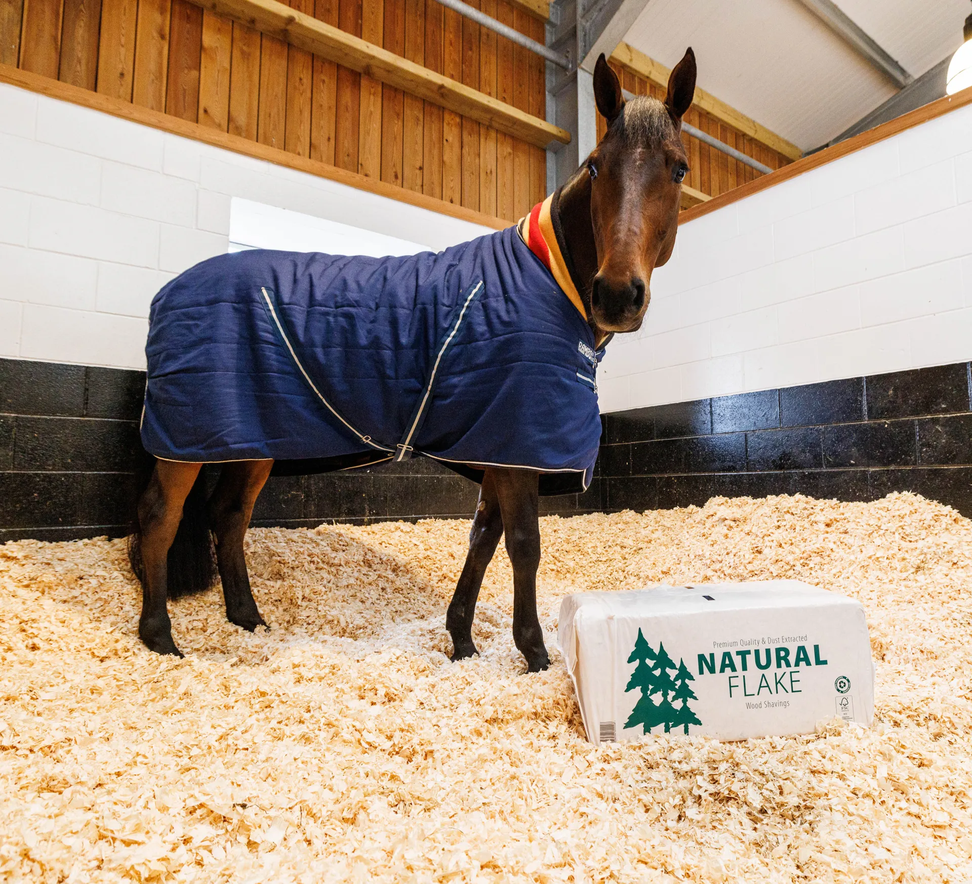 jenkinson small flake